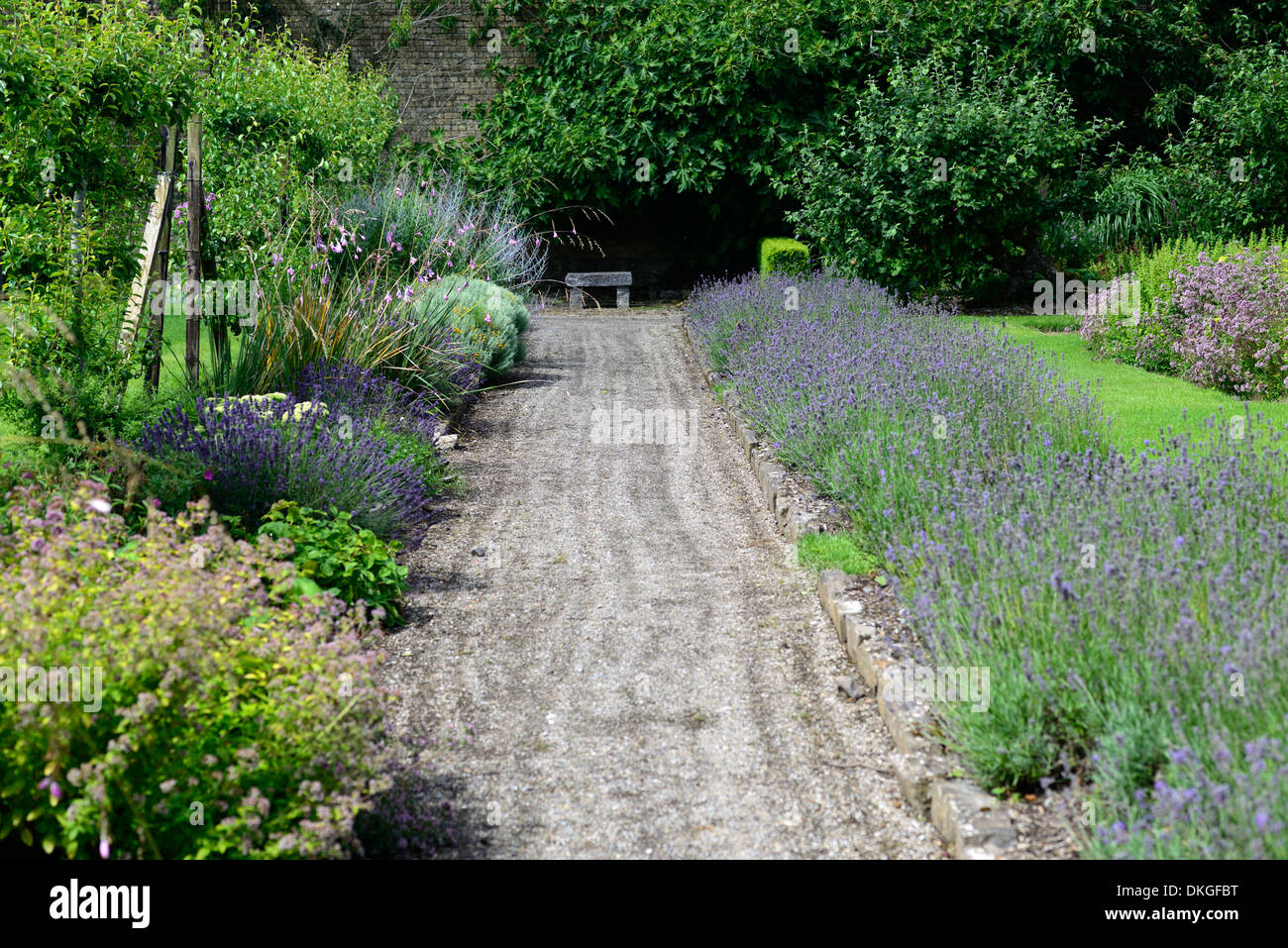 Mixed herbaceous borders hi-res stock photography and images - Alamy