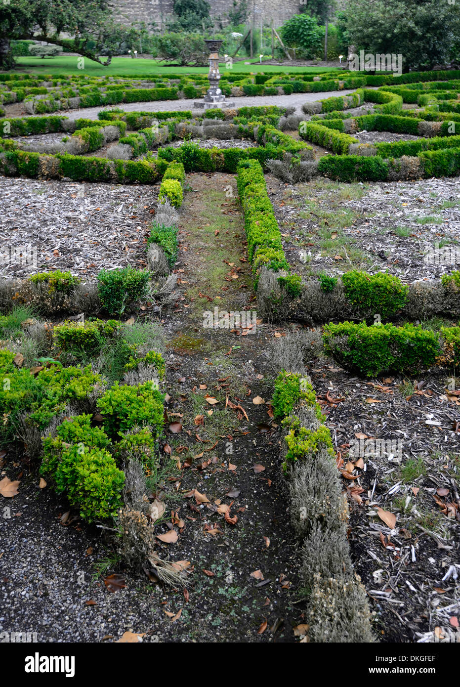 ballindoolin sundial garden buxus evergreen hedge topiary box blight ...