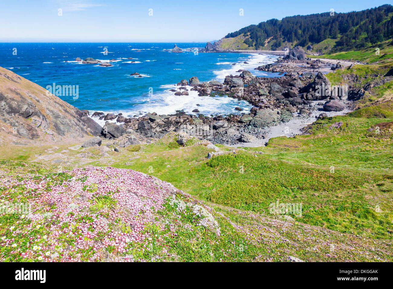 Boardman state park hi-res stock photography and images - Alamy