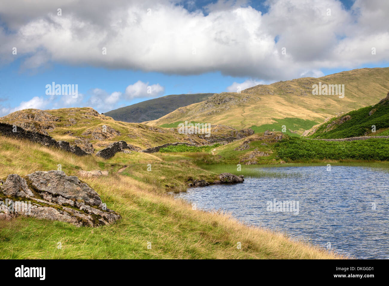 Alcock Tarn near Grasmere, the Lake District, Cumbria, England Stock ...