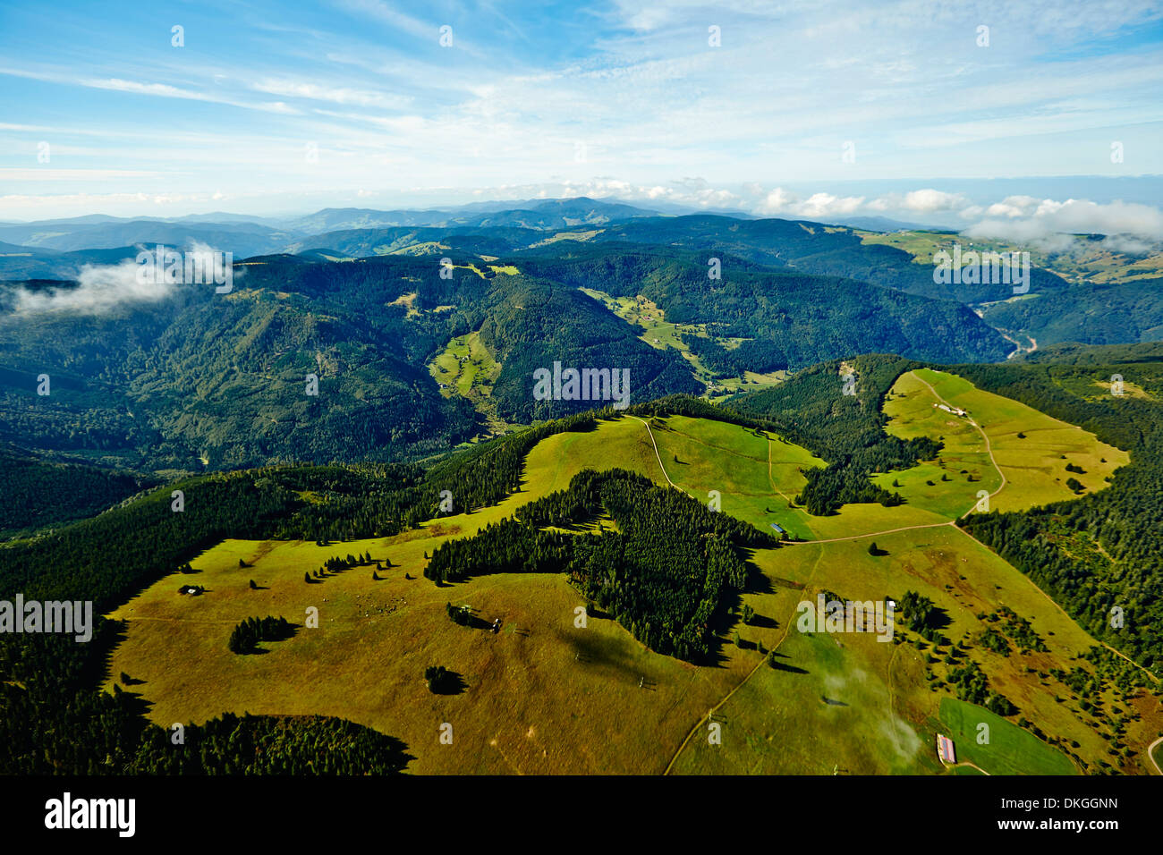 Pastures and forest in Black Forest, Oberried, Baden-Wuerttemberg ...
