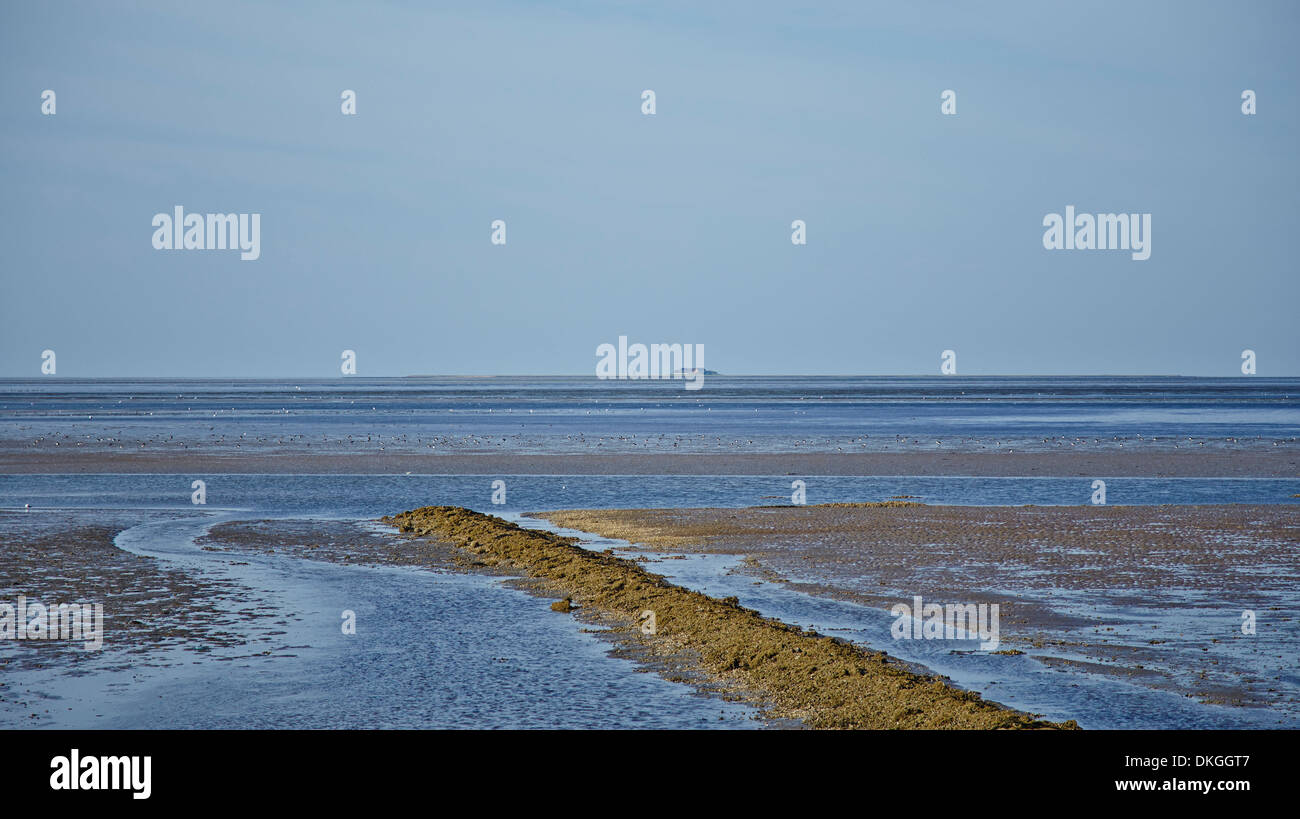 Wadden Sea with Hallig Suederoog in background, Pellworm Island ...