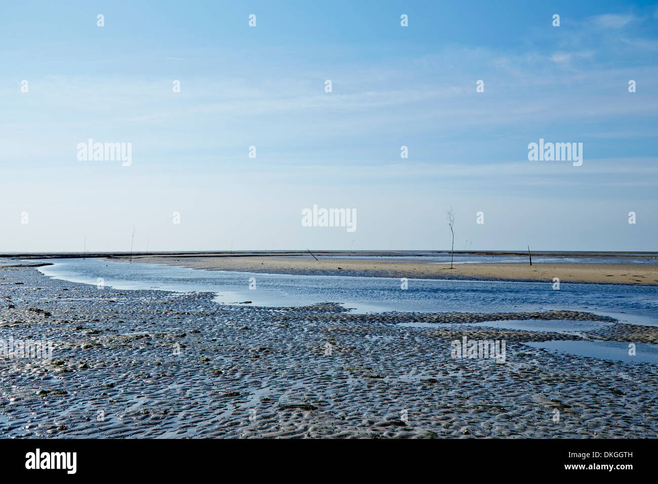 Wadden Sea with tideway at low tide, Pellworm Island, Germany Stock ...