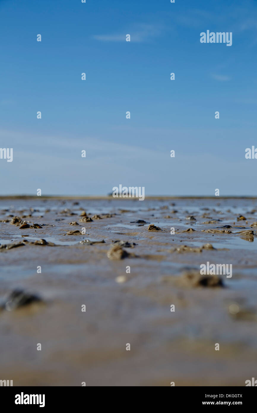 Wadden Sea at low tide, Pellworm Island, Germany Stock Photo - Alamy