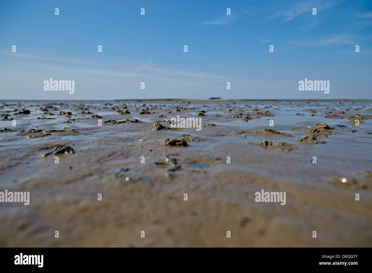 North sea island pellworm hi-res stock photography and images - Alamy