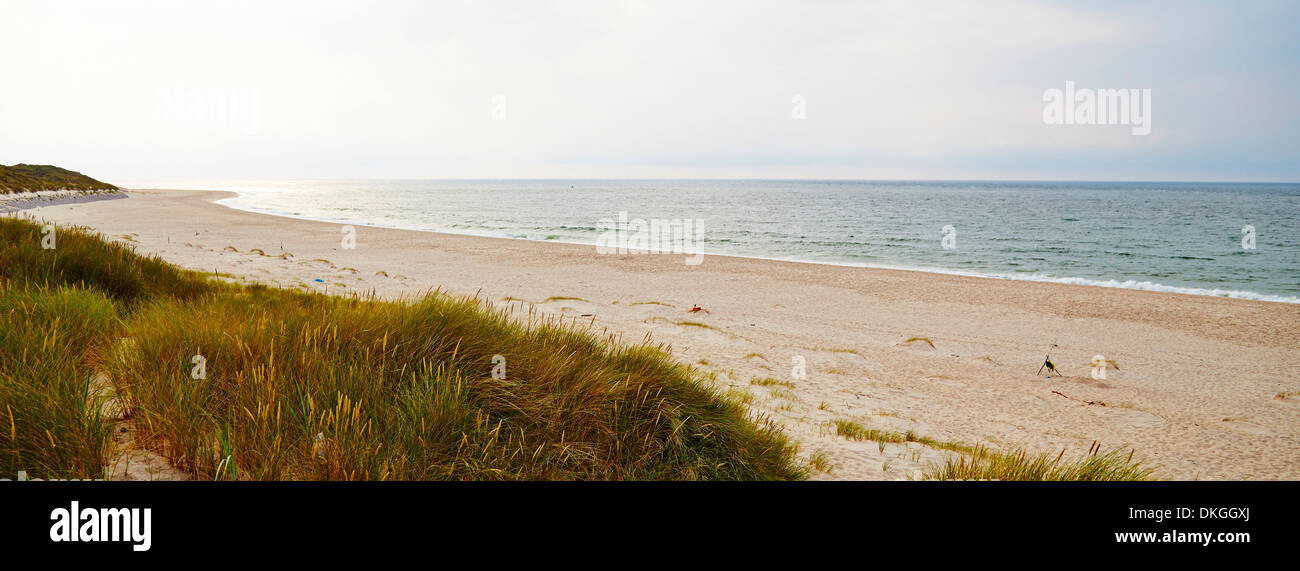 Beach Ellenbogen Sylt Germany High Resolution Stock Photography and ...