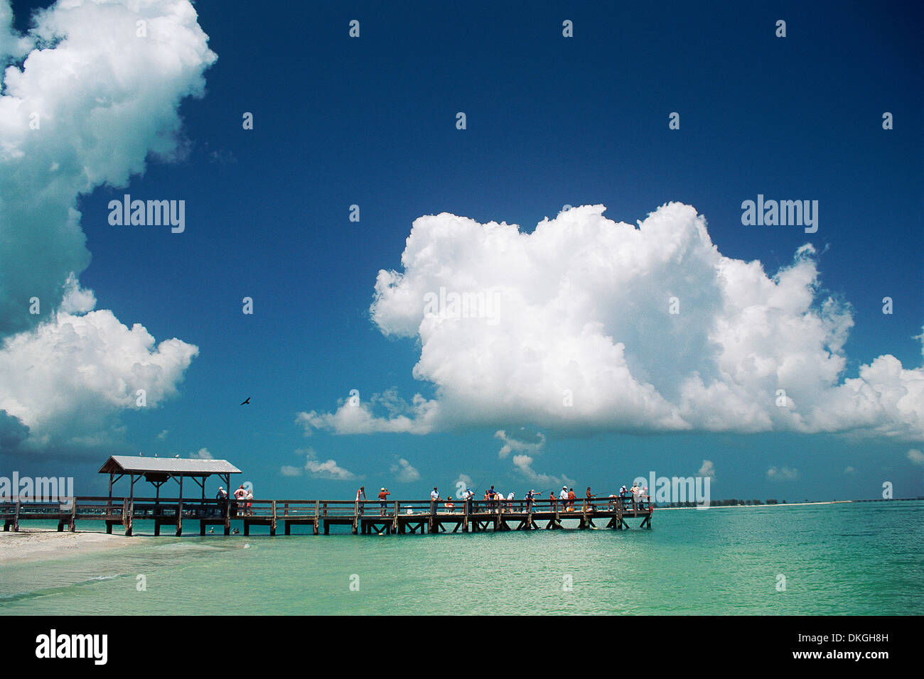 Tropical pier on Florida's Gulf of Mexico Stock Photo - Alamy