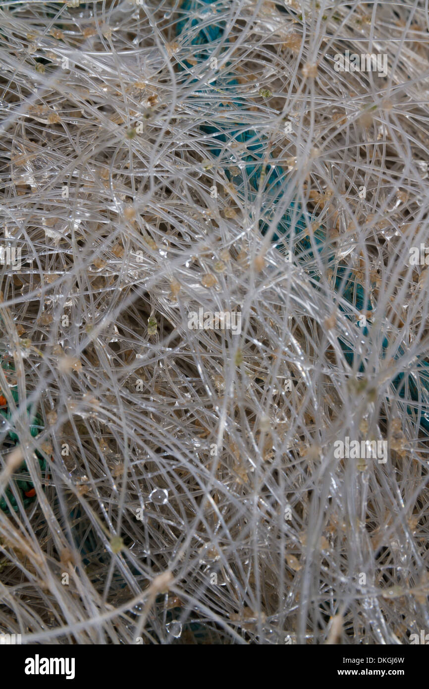 Macro of nylon industrial fishing net with rain drops suspended in it ...
