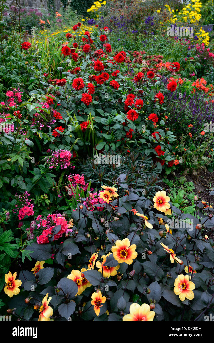 corona north memorial commemorative perennial border mix mixed planting ...