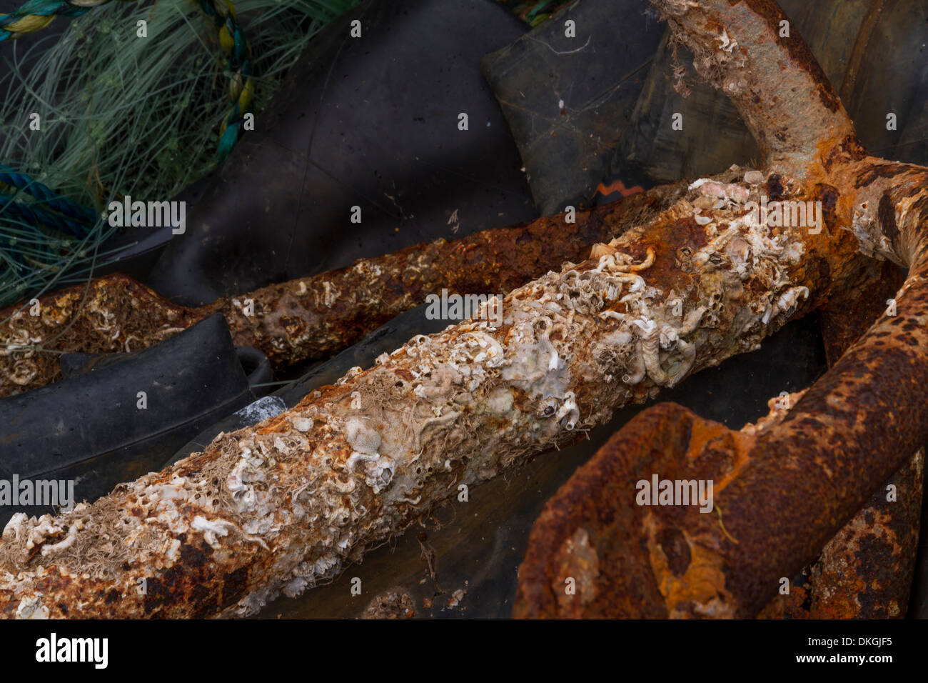 Rusted or corroded metal bar, by sea so much salt corrosion Stock Photo ...