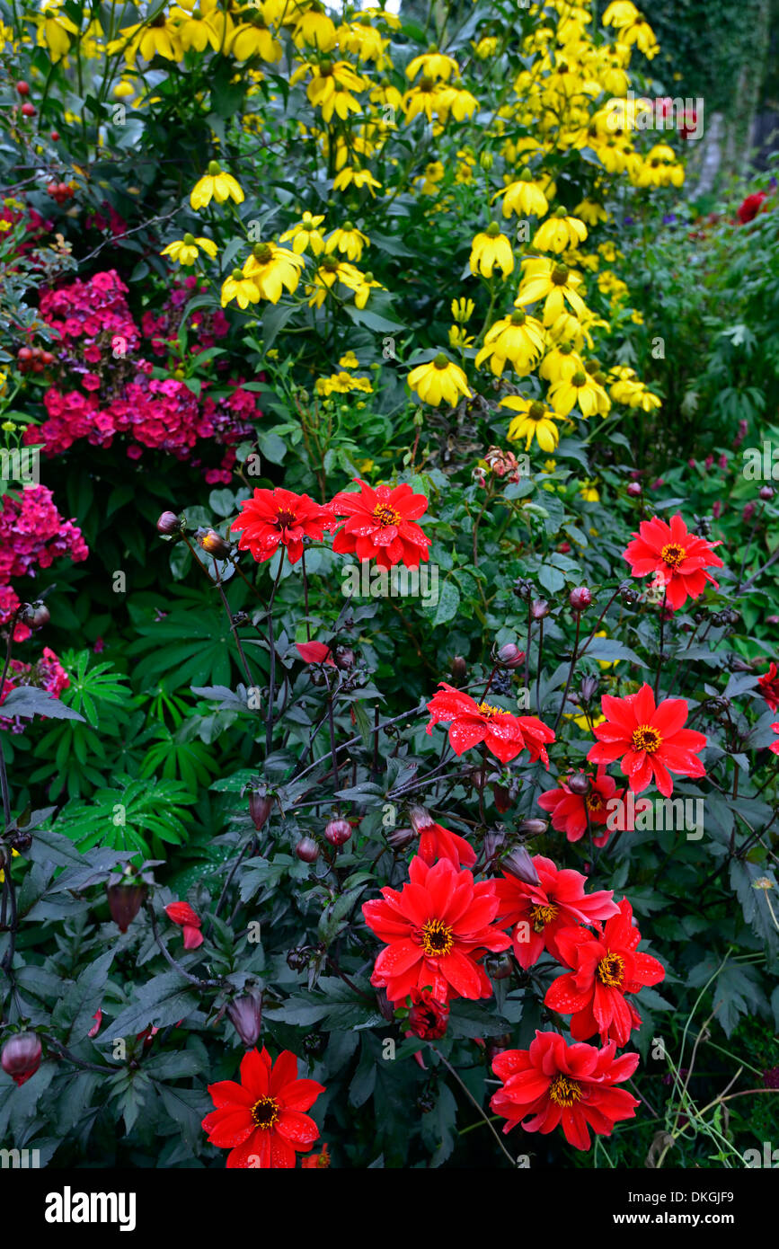 corona north memorial commemorative perennial border mix mixed planting ...