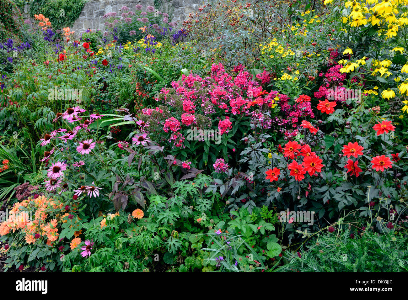 corona north memorial commemorative perennial border mix mixed planting ...