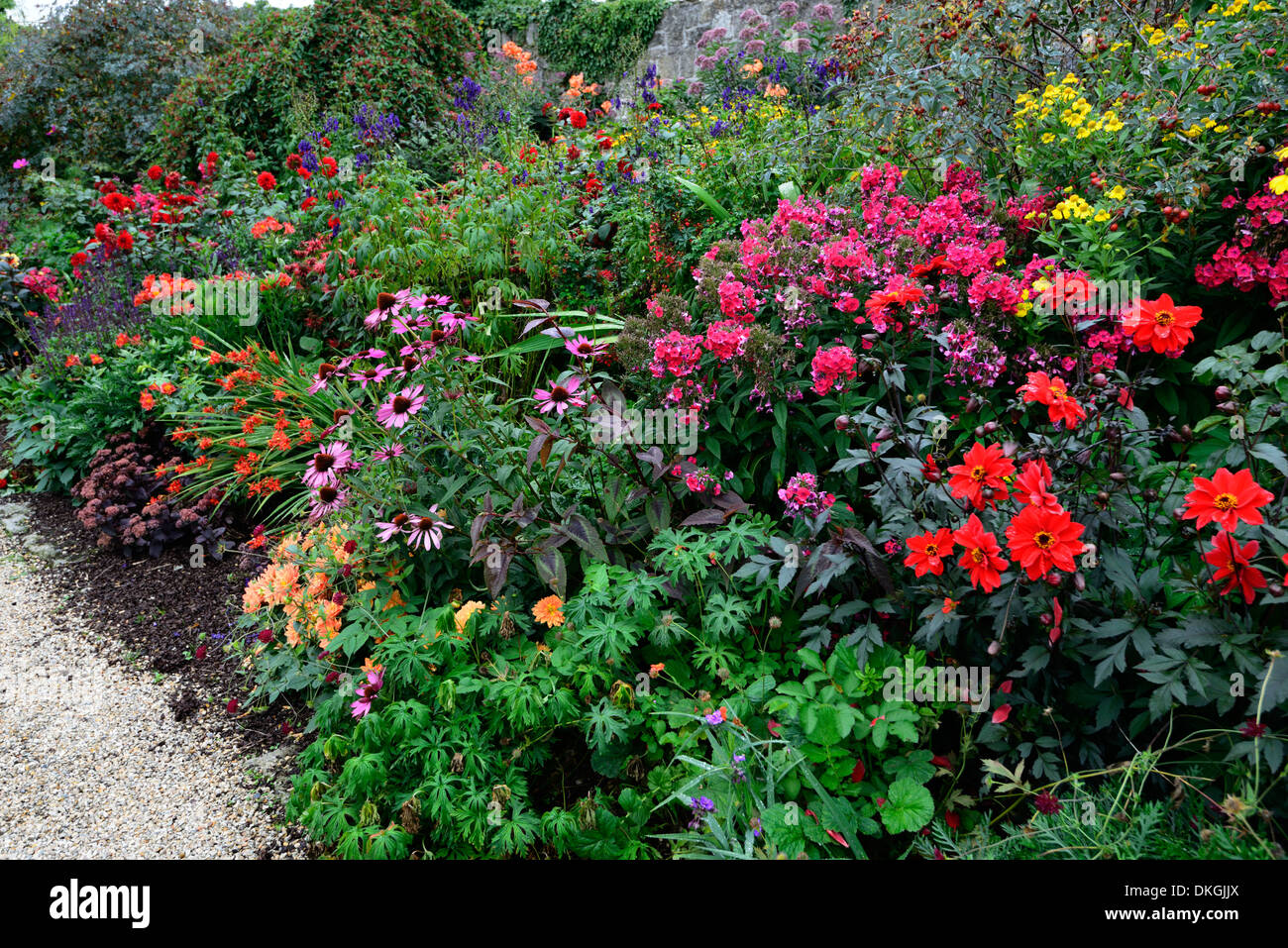 corona north memorial commemorative perennial border mix mixed planting ...