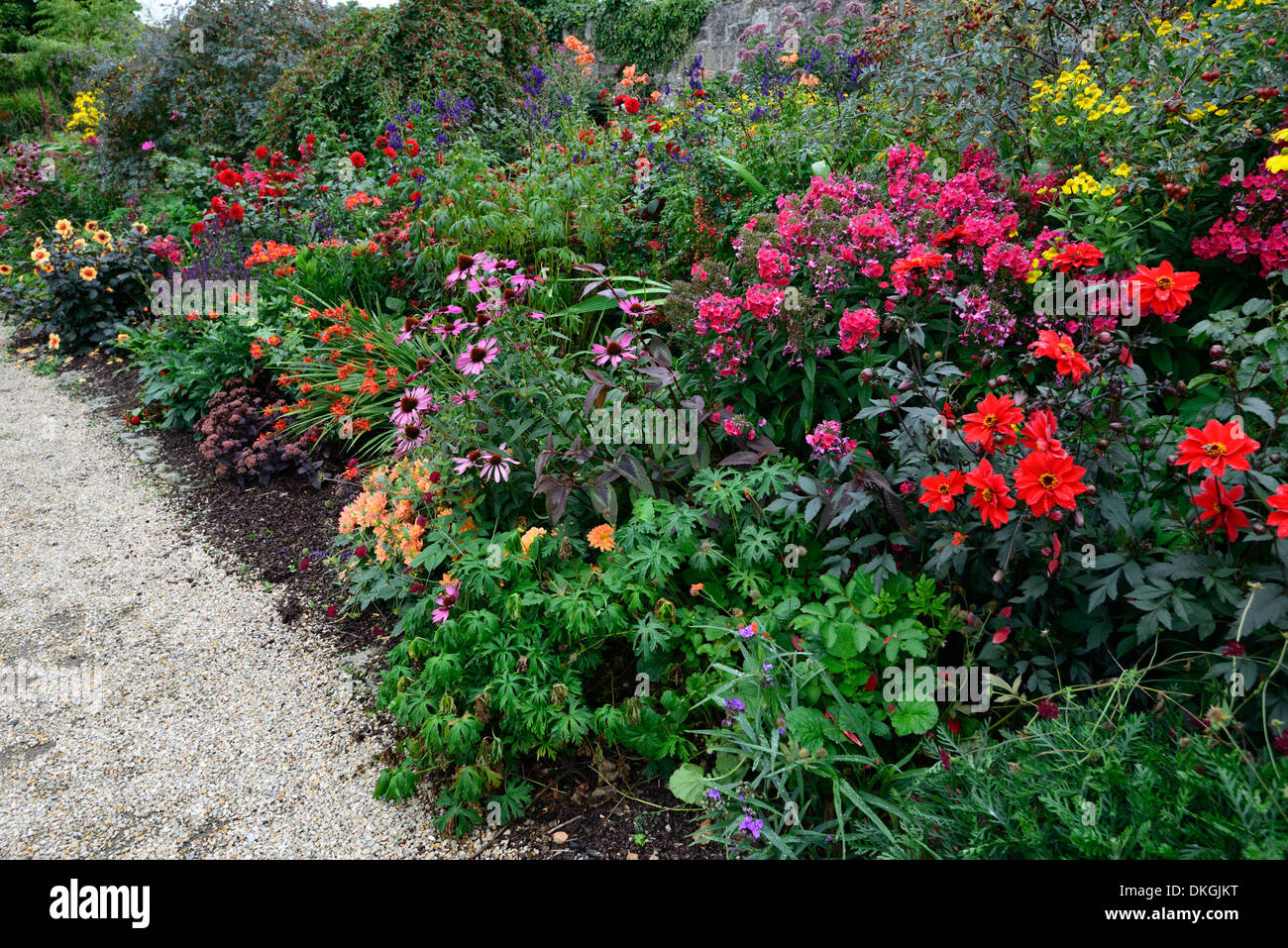 corona north memorial commemorative perennial border mix mixed planting ...