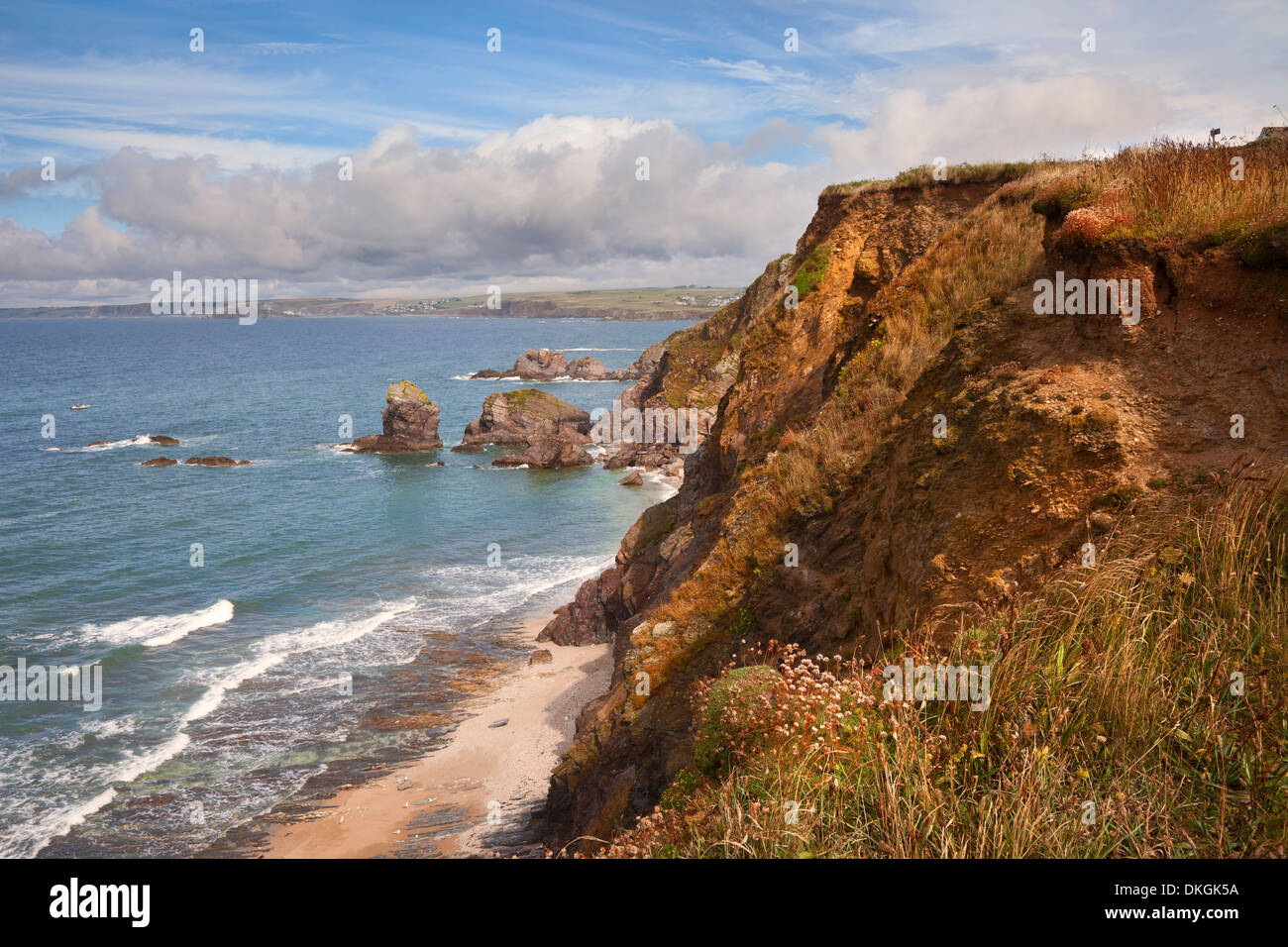 Cliffs at Hope Cove, Devon, England Stock Photo - Alamy