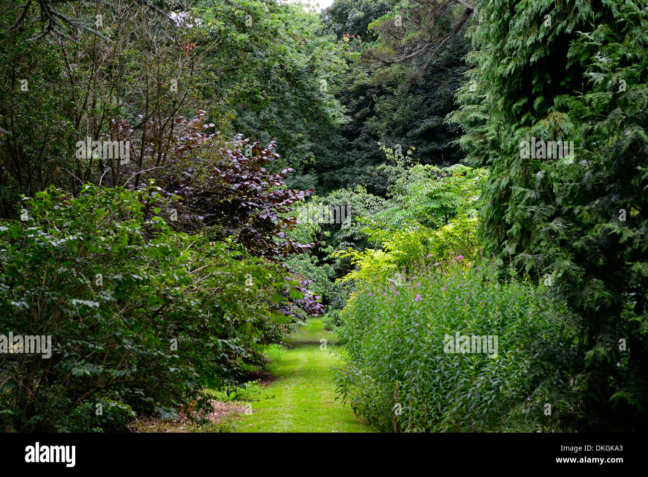 Dunboyne meath hi-res stock photography and images - Alamy