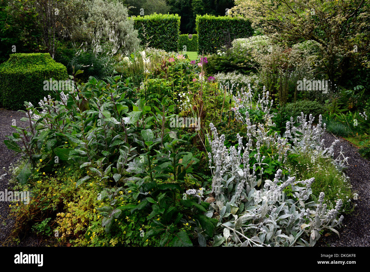 mixed planting plant scheme bed border herbaceous perennial kilfane ...