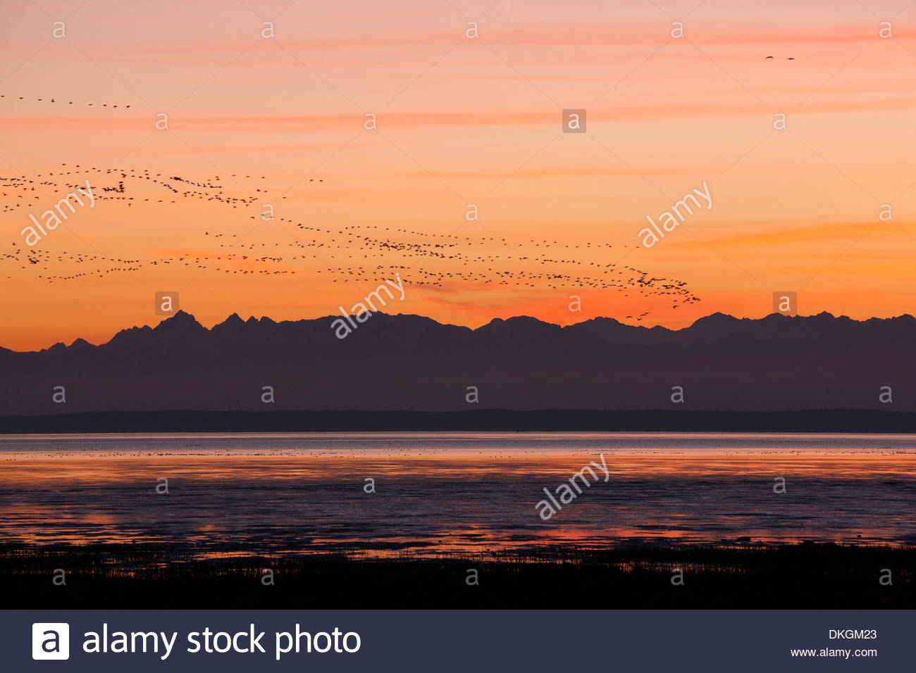 Olympic Delta High Resolution Stock Photography and Images - Alamy