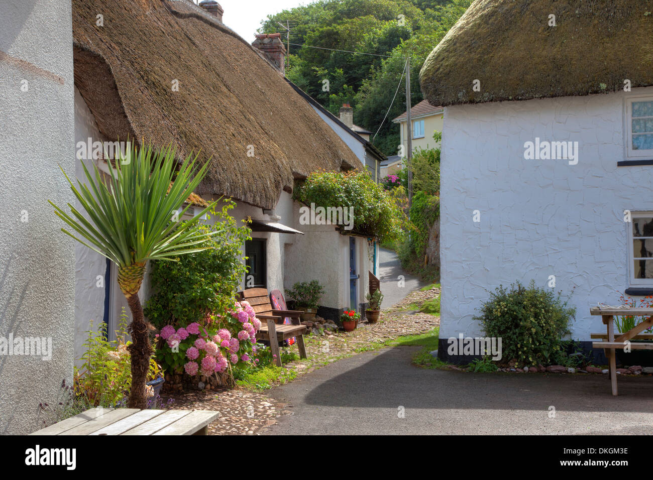 Hope cove thatched cottage hi-res stock photography and images - Alamy