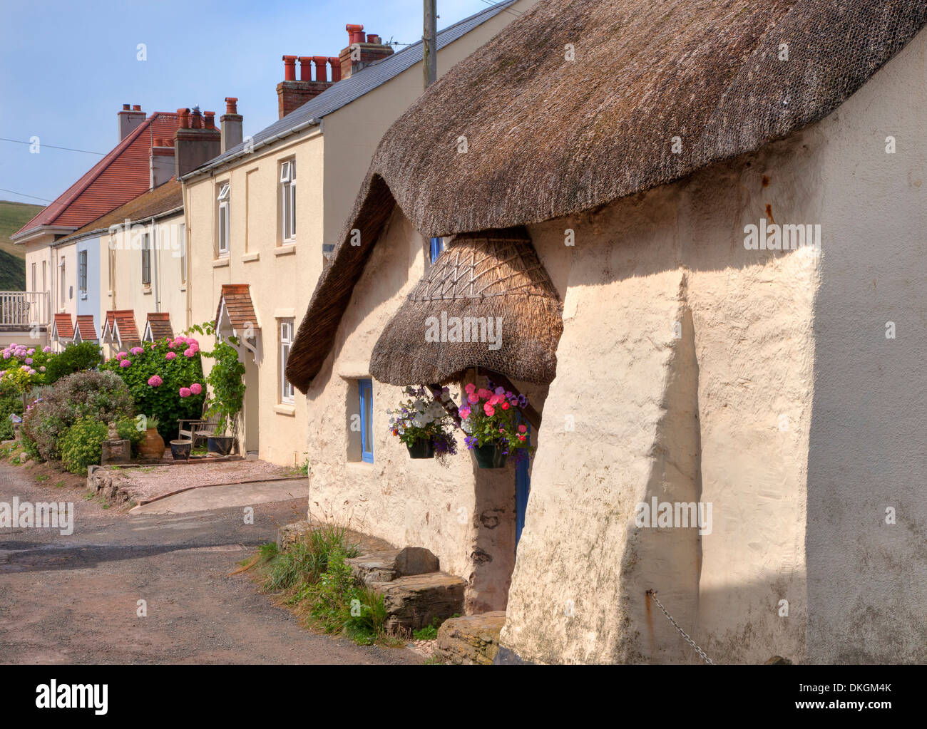 Pretty thatched cottage at Hope Cove, Devon, England Stock Photo - Alamy