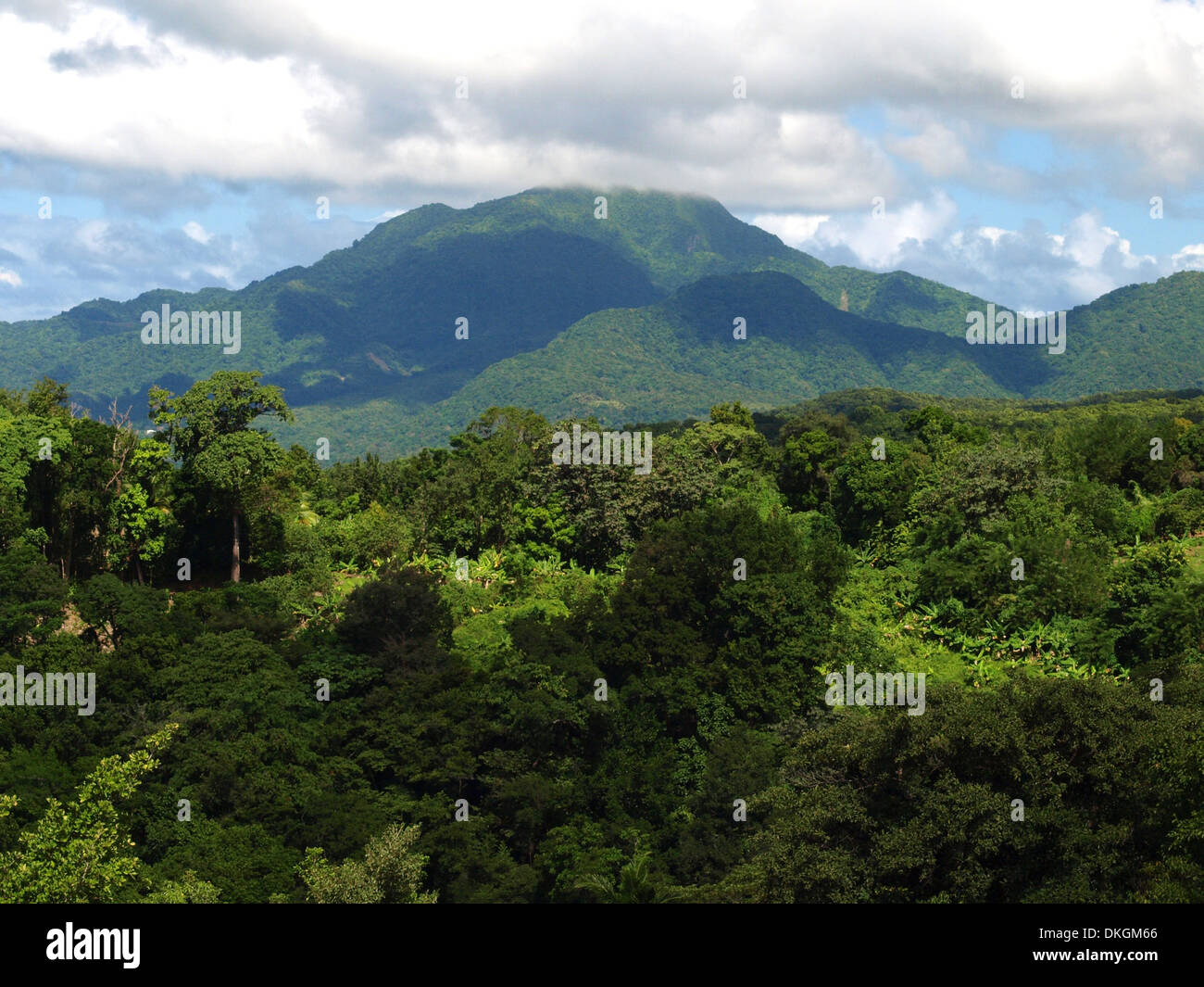 A clear view of Morne Diablotin volcano in the Commonwealth of Dominica ...
