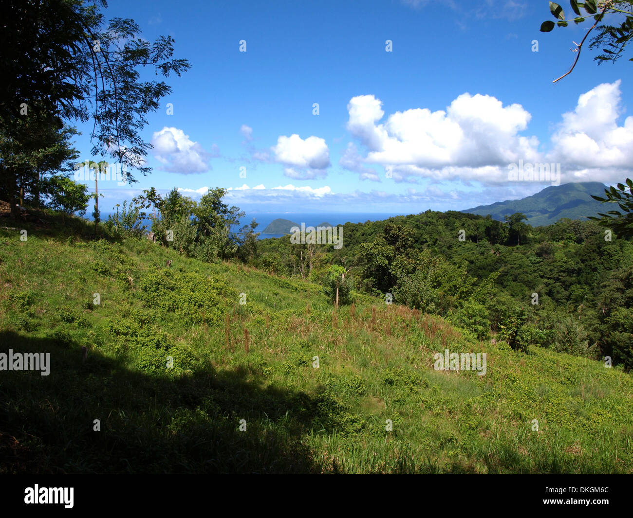 Dominica volcano hi-res stock photography and images - Alamy