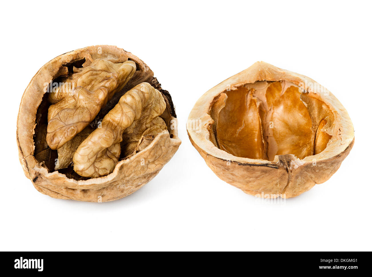 Half open walnuts hi-res stock photography and images - Alamy