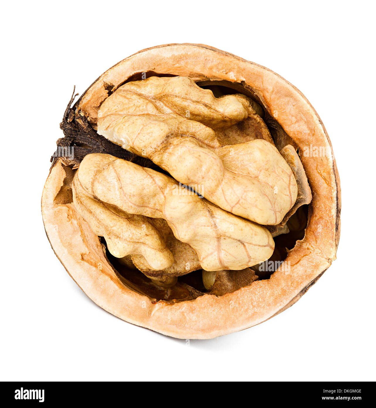 Half open walnuts hi-res stock photography and images - Alamy