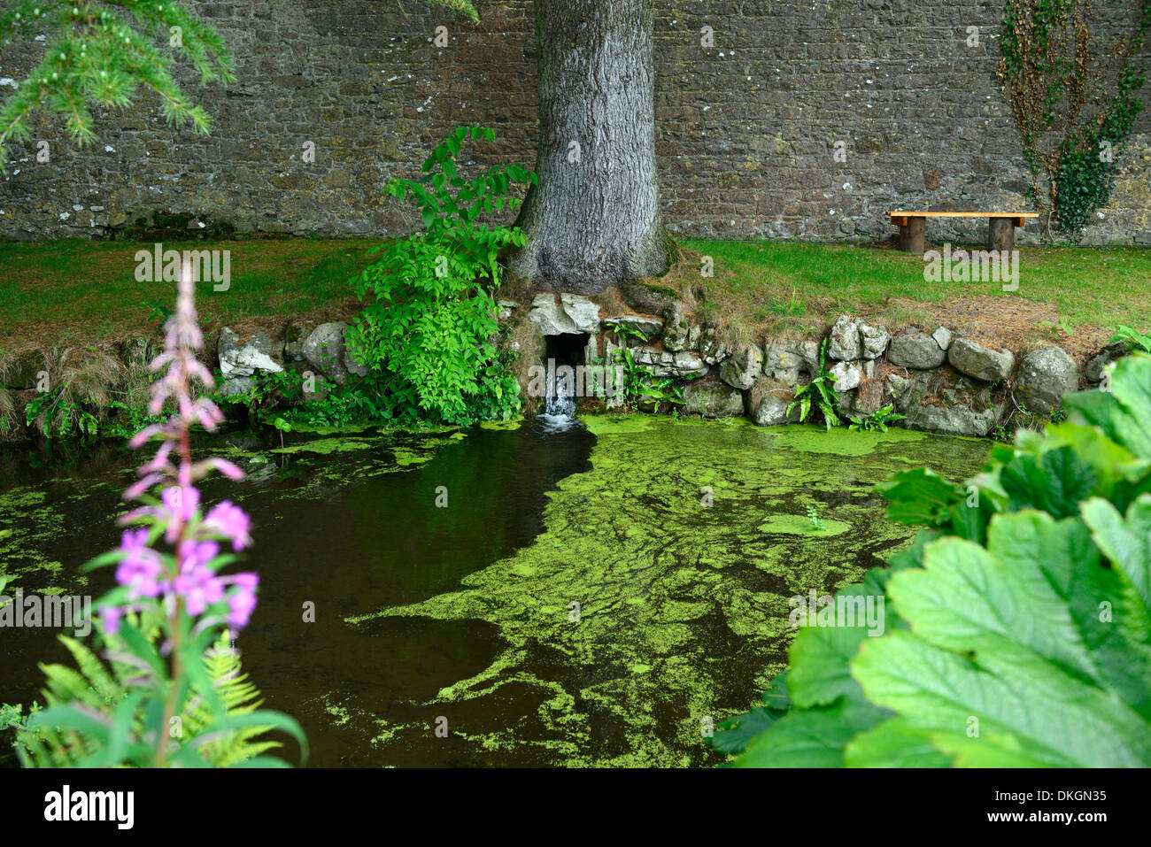 Stream water feature hi-res stock photography and images - Alamy