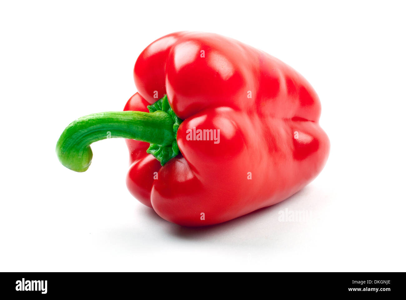 Piper genus hi-res stock photography and images - Alamy