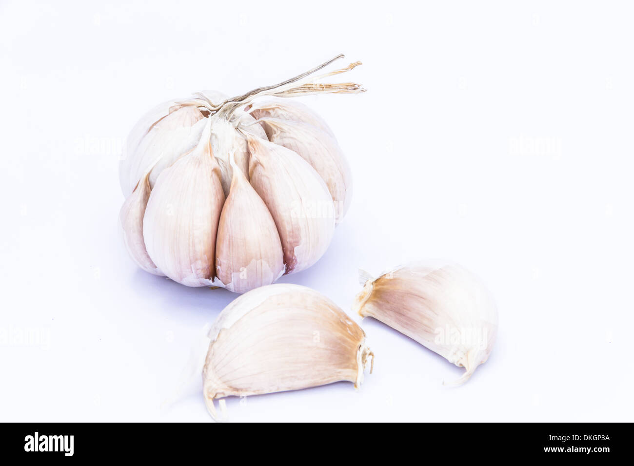 Fresh garlic whole and cloves. Isolated on a white background Stock ...
