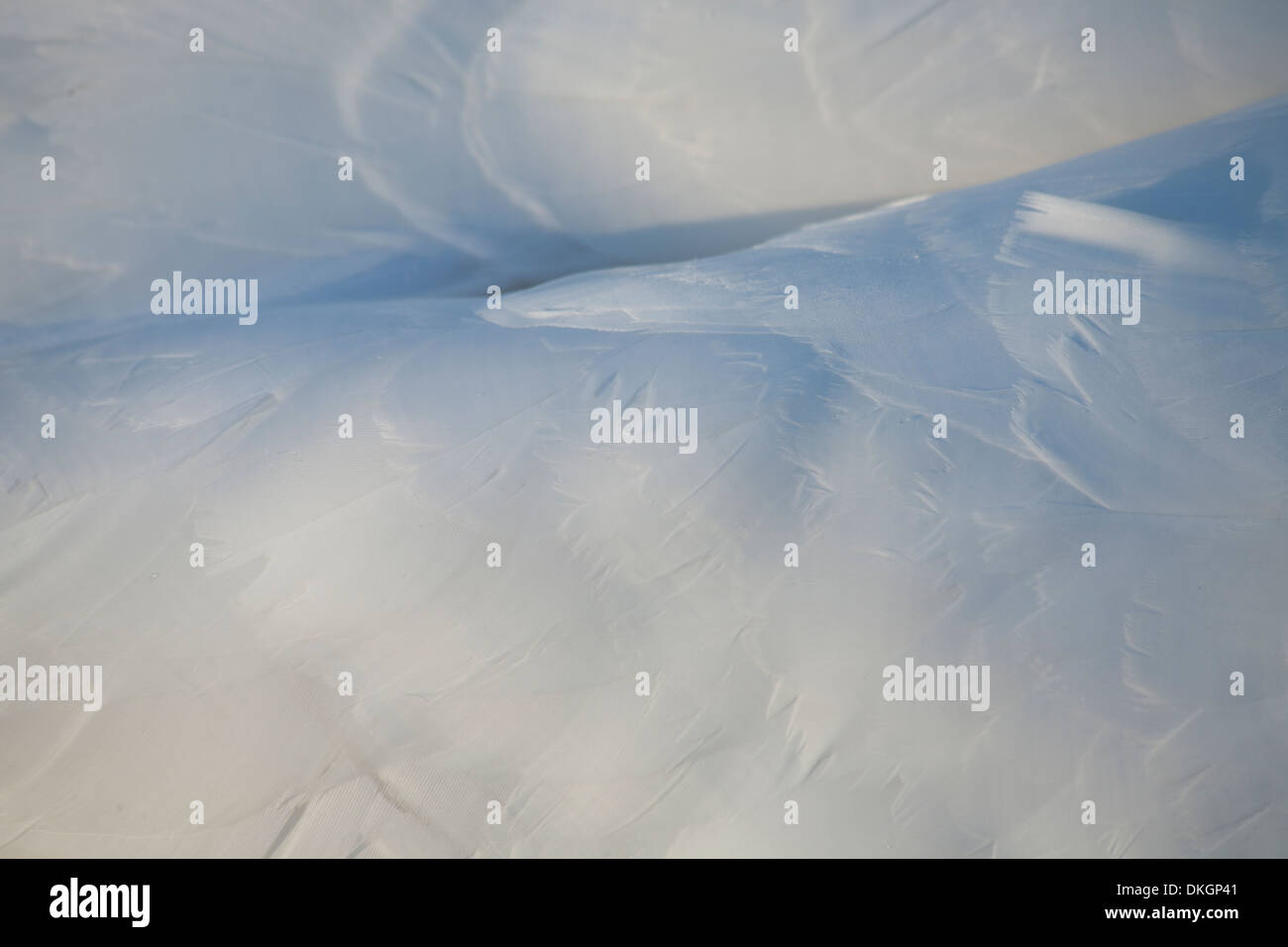 Folded wings hi-res stock photography and images - Alamy