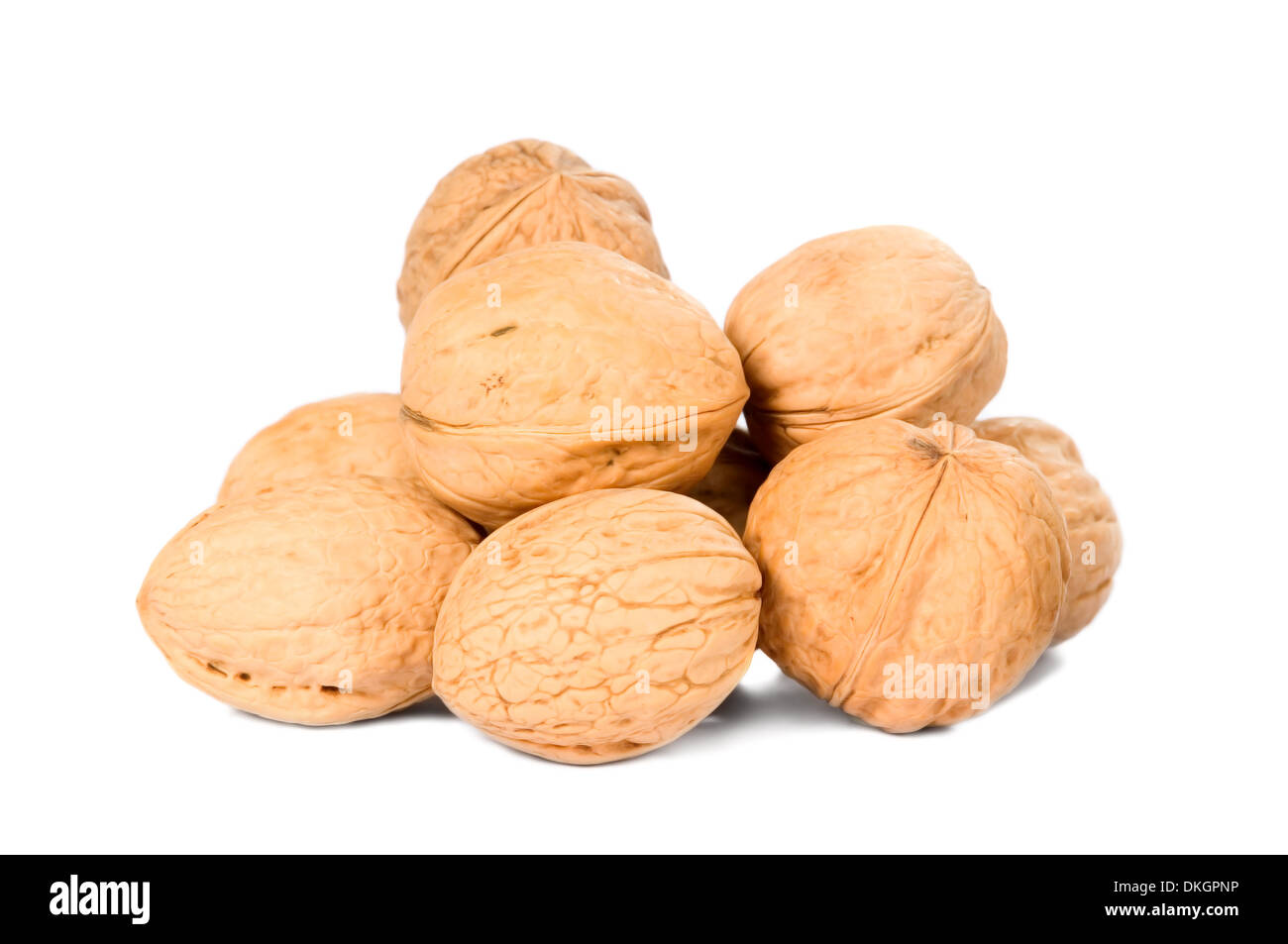 Brown greek nut on white isolated background Stock Photo - Alamy