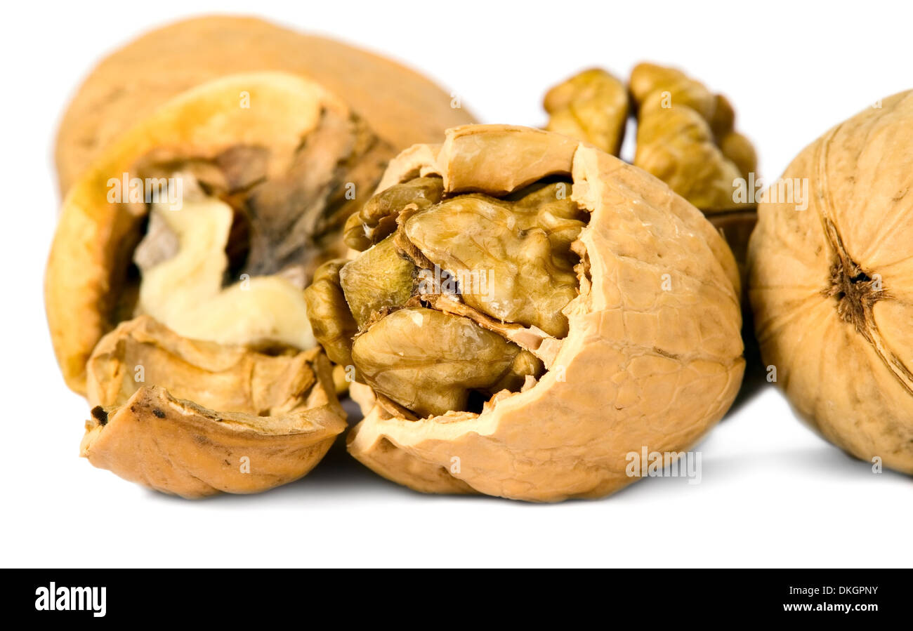 Brown greek nut on white isolated background Stock Photo - Alamy