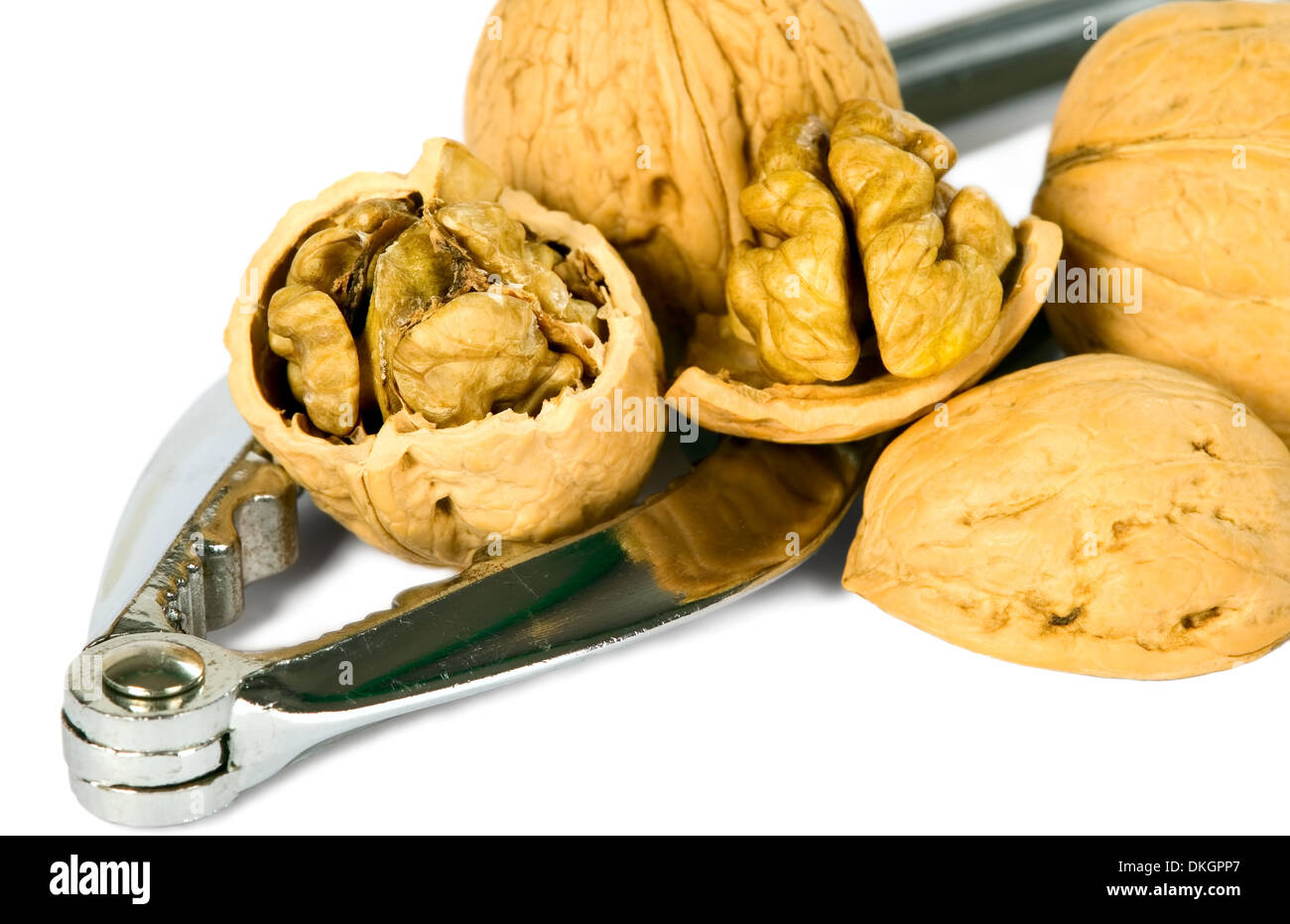 Brown greek nut with metal nutcracker on isolated background Stock ...