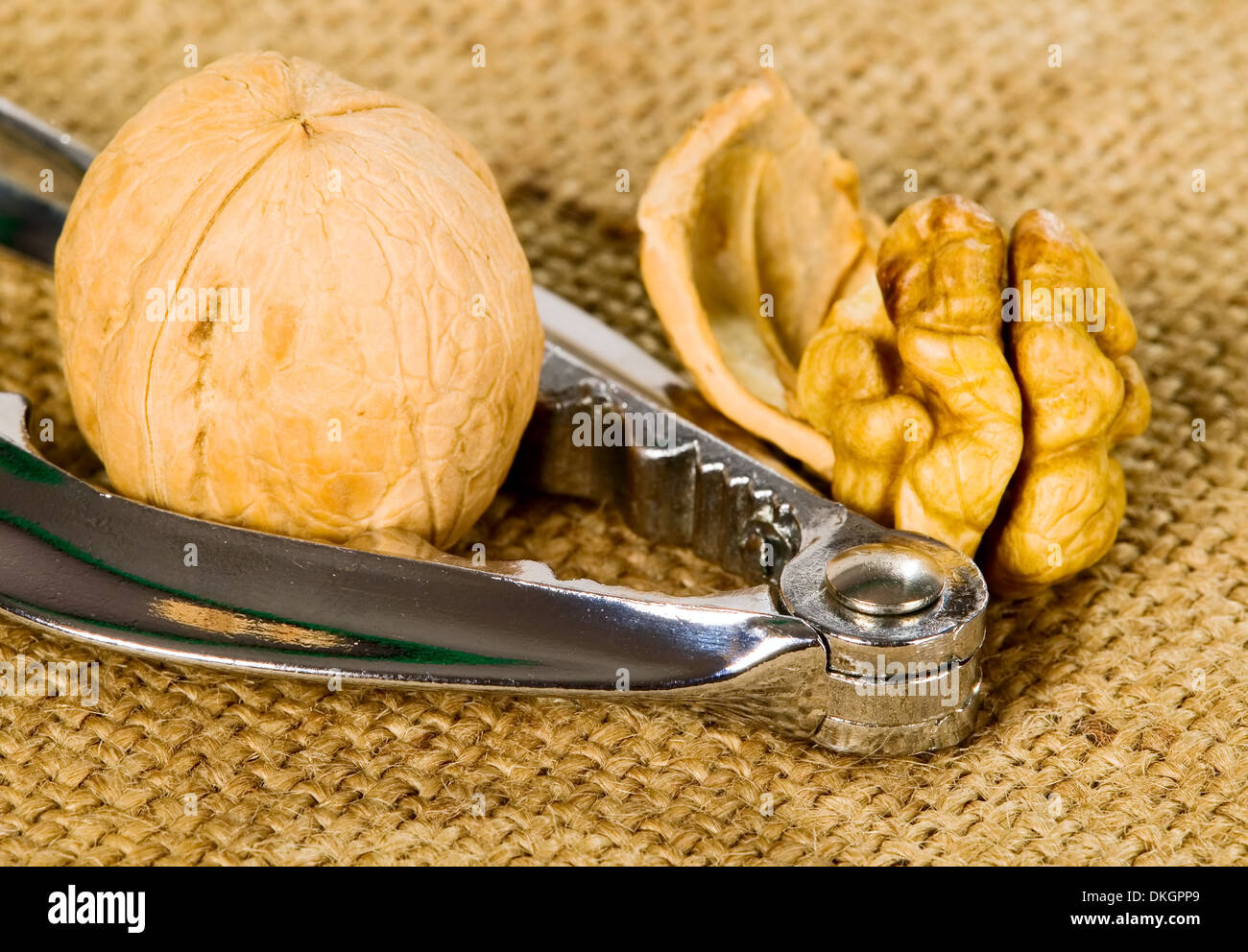 Brown greek nut with metal nutcracker on textured background Stock ...