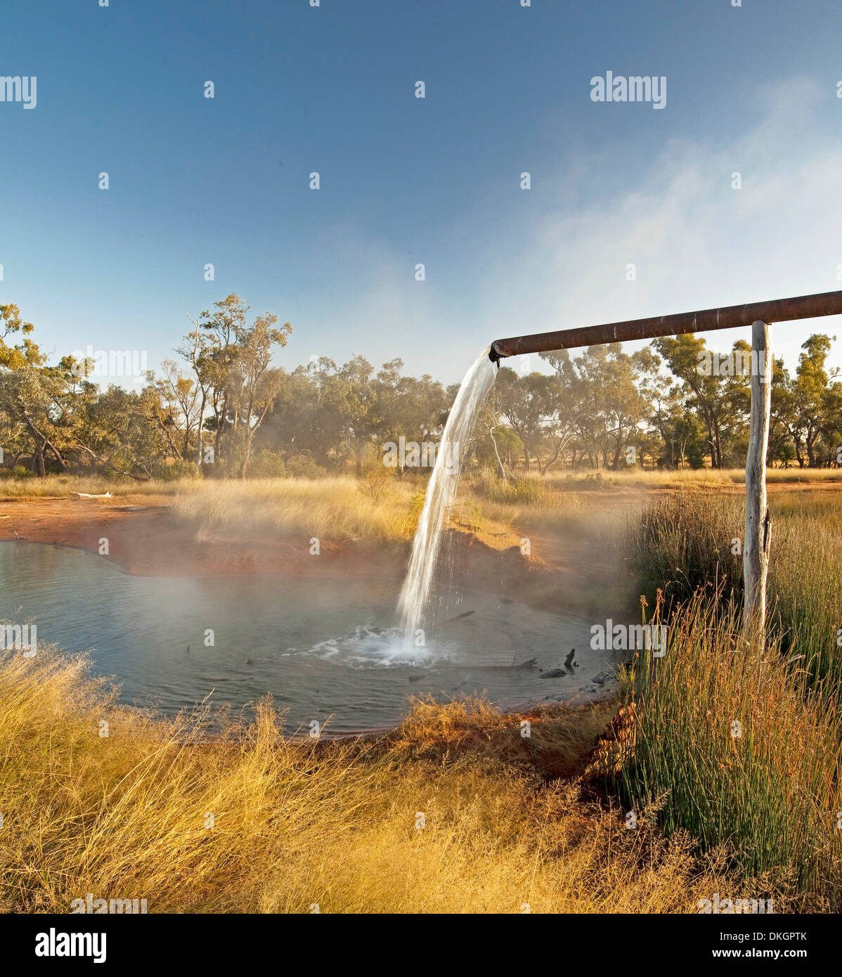 Swimming in bore water hi-res stock photography and images - Alamy
