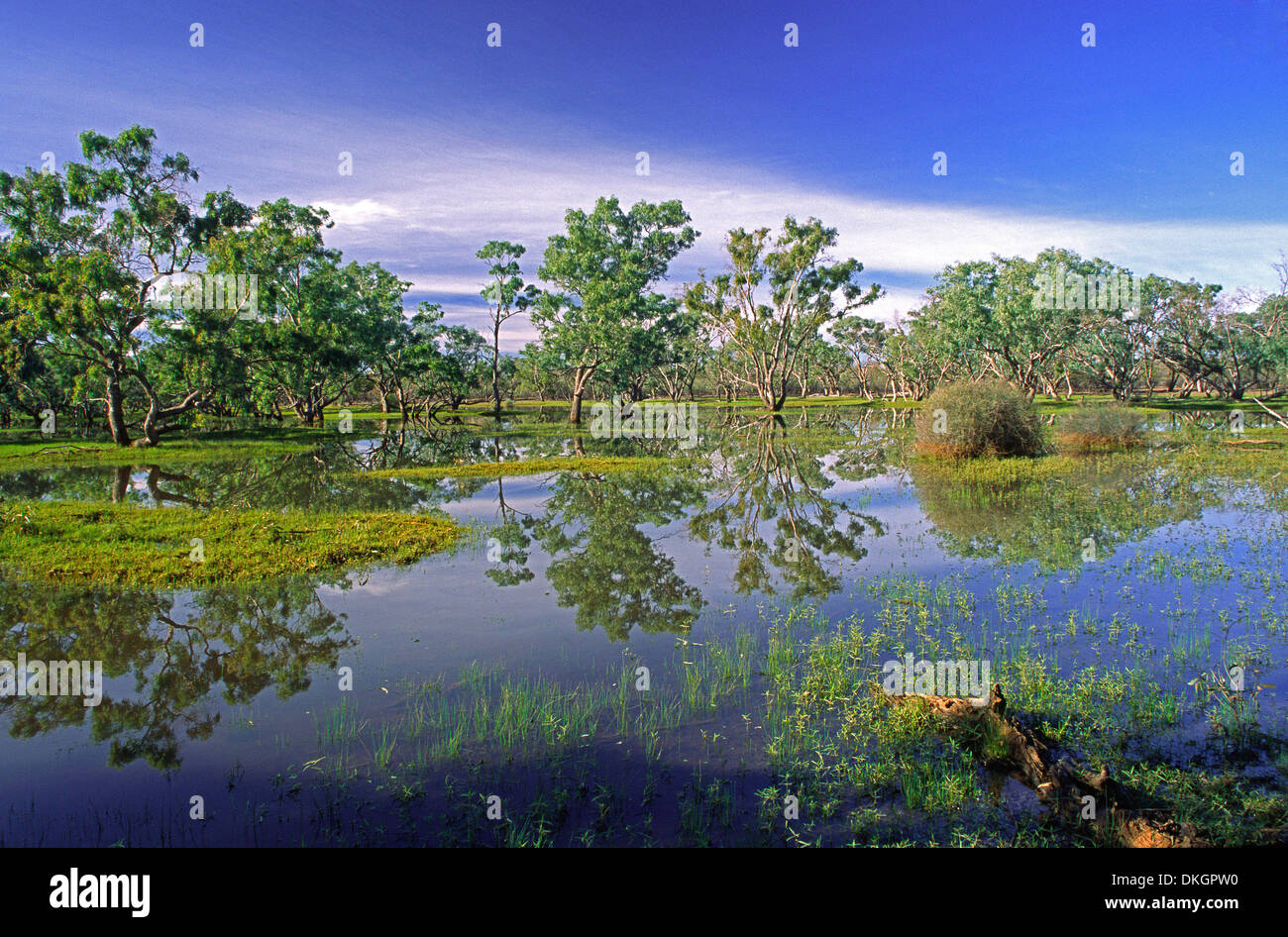 Spectacular Australian outback scene with drought breaking rain ...