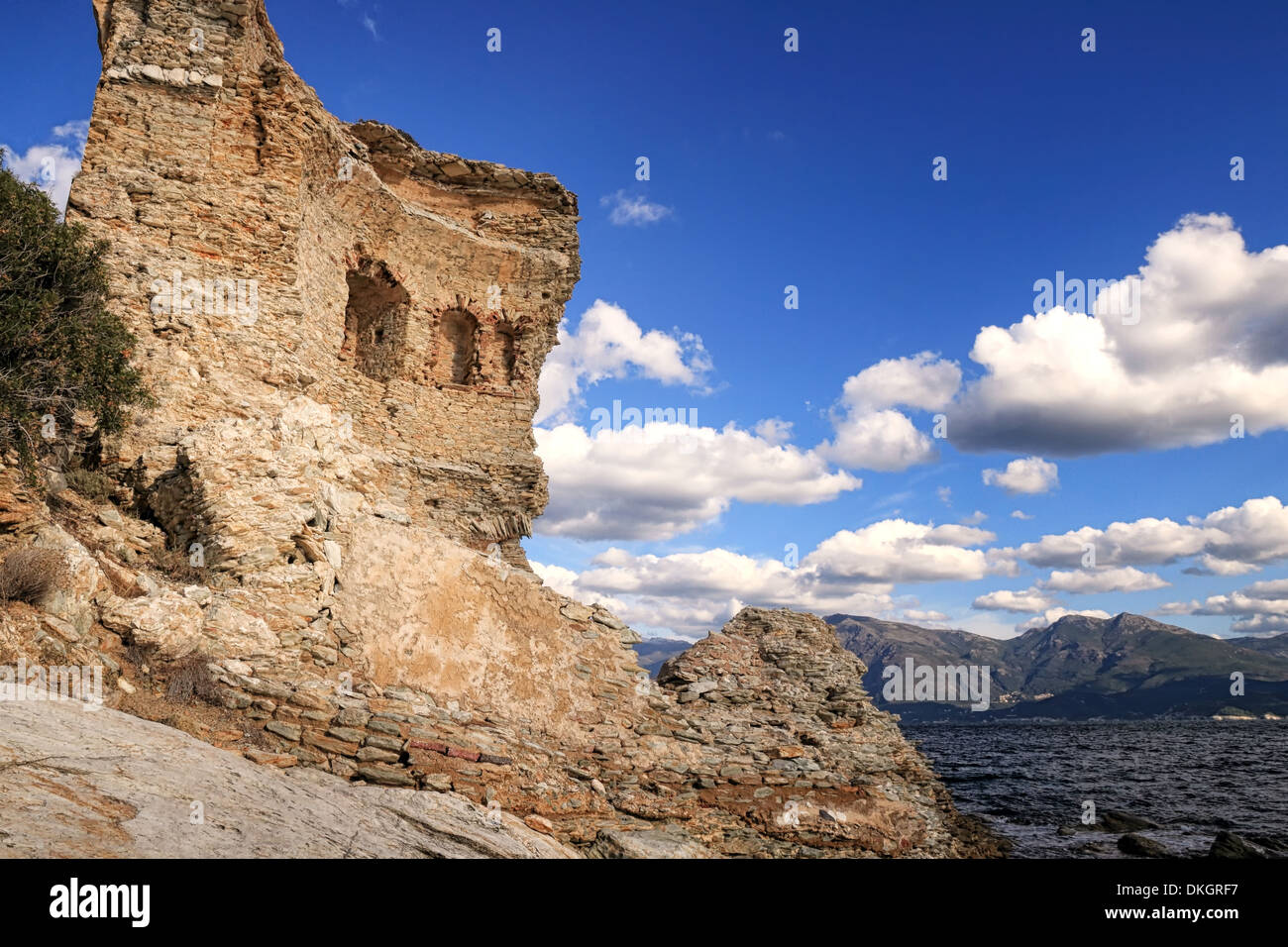 Mortella High Resolution Stock Photography and Images - Alamy
