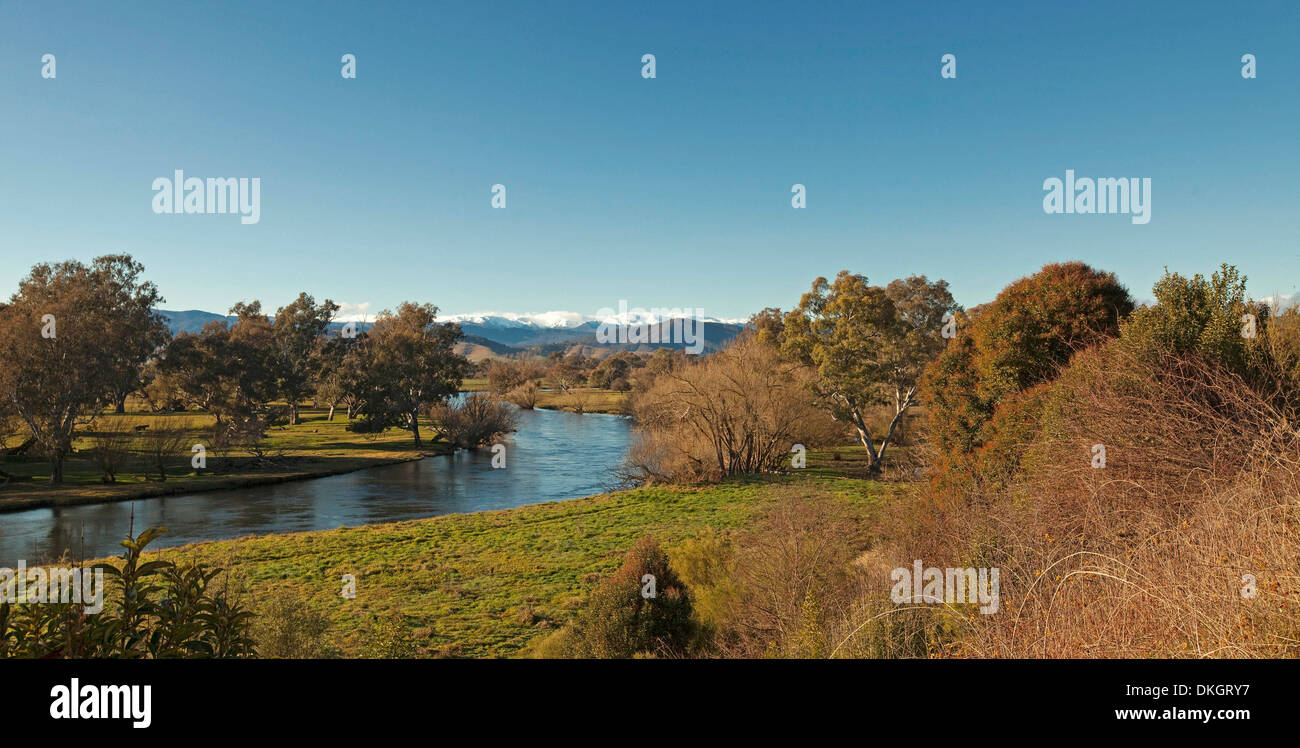 Murray River through landscape of woodlands with snow capped peaks of ...