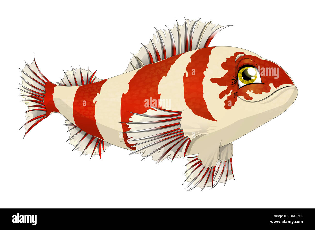 colourful small fish Stock Photo - Alamy