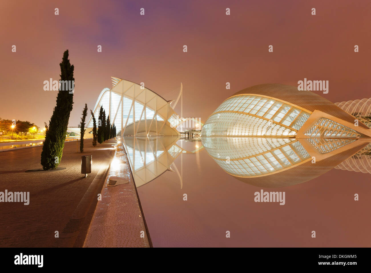 Hemisferic city arts sciences architect hi-res stock photography and ...