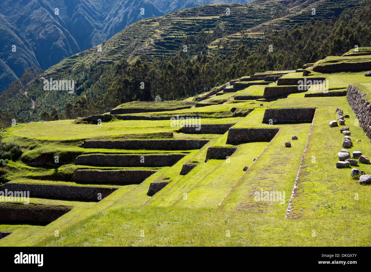 Inca terracing, Chinchero, Peru, South America Stock Photo - Alamy