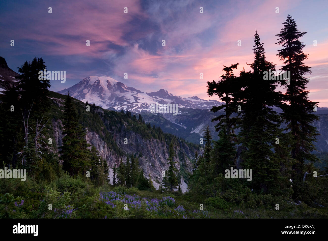 Landscape, Mount Rainier National Park, Washington State, United States ...
