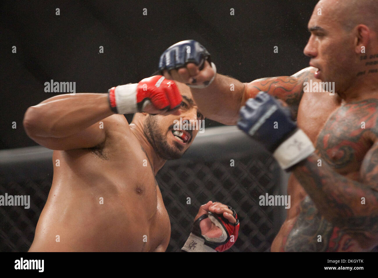 Strikeforce Mma Fighters