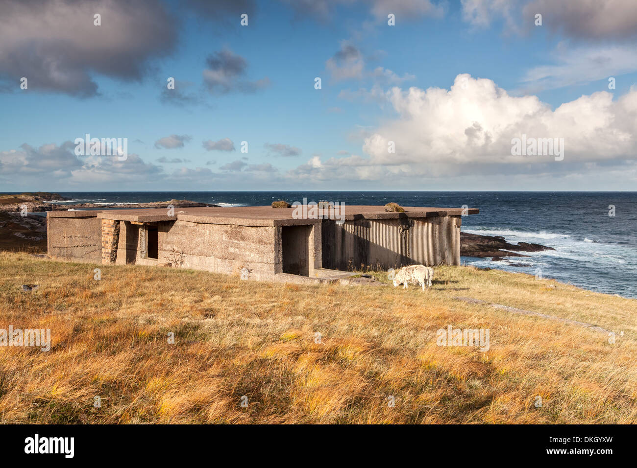 Loch ewe war hi-res stock photography and images - Alamy