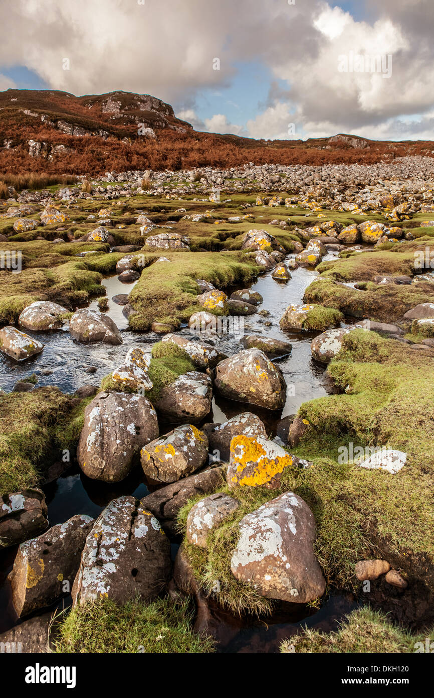 Loch ewe, Wester Ross, Highlands, Scotland Stock Photo - Alamy