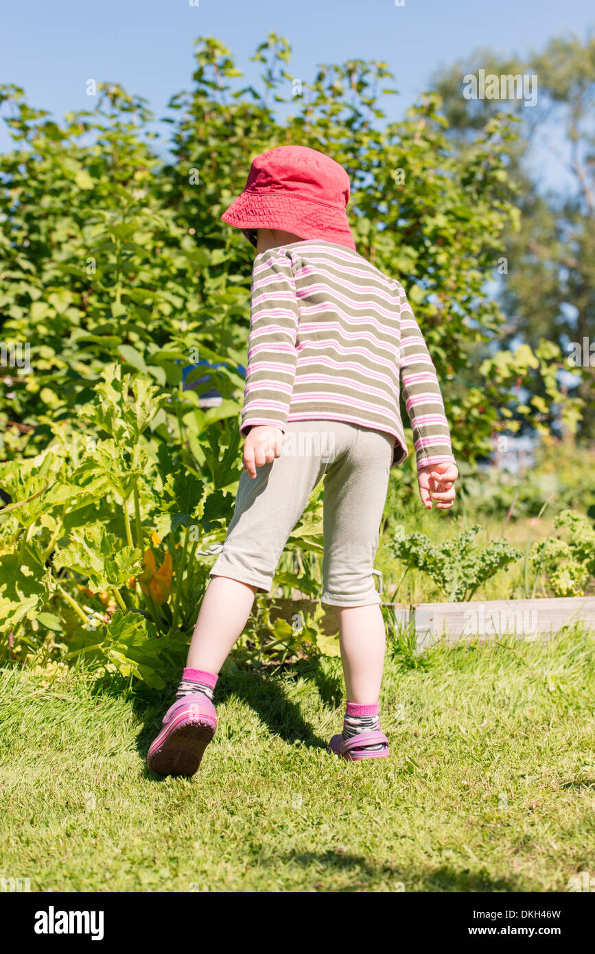 Back view of young child standing in garden watching green plants and ...