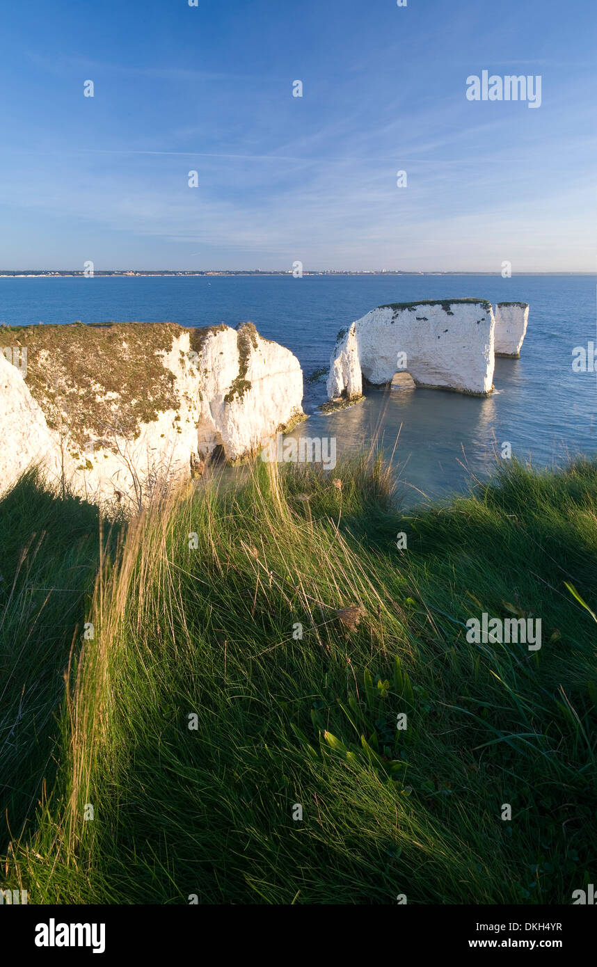 Old harrys rock hi-res stock photography and images - Alamy