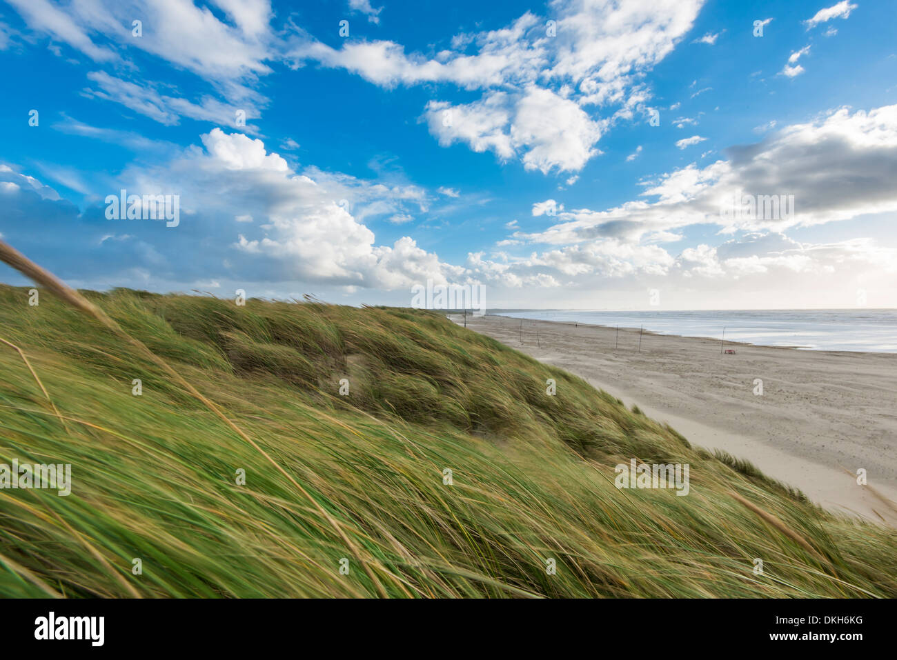 Dunes on a beach in the Netherlands Stock Photo - Alamy